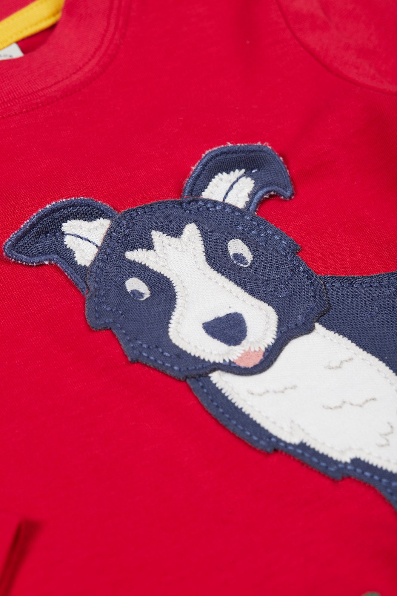 Adventure Applique Top